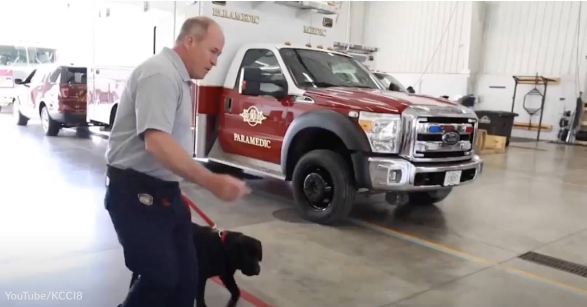 Des Moines Fire Department Gets Expert Canine to Sniff Out Arson ...