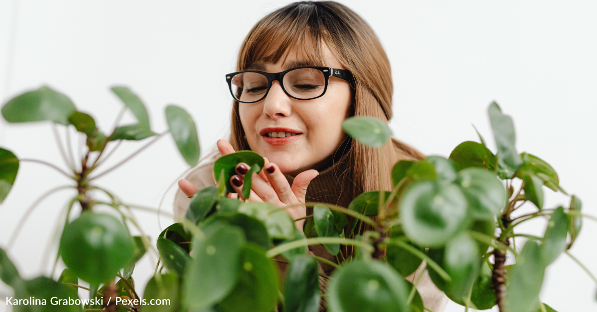 New Study Suggests That Plants Cry When They're Stressed | GreaterGood