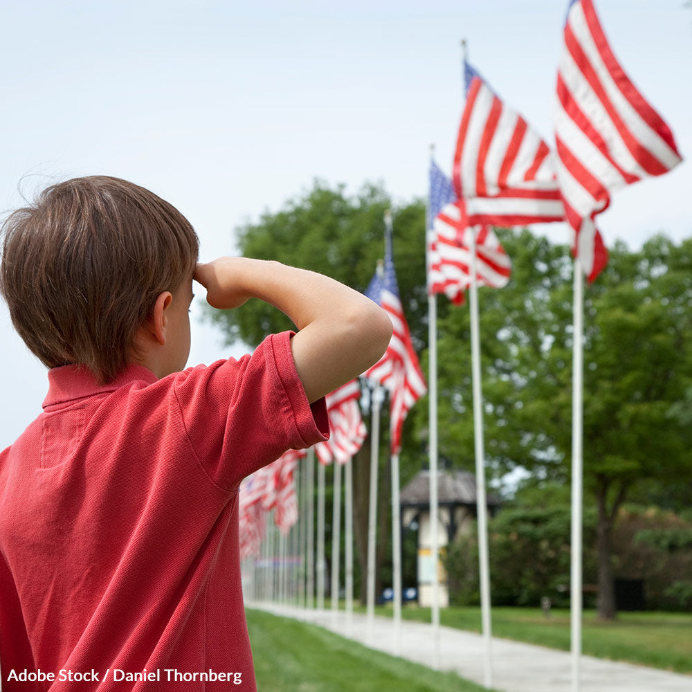 Take the Memorial Day Pledge! | GreaterGood