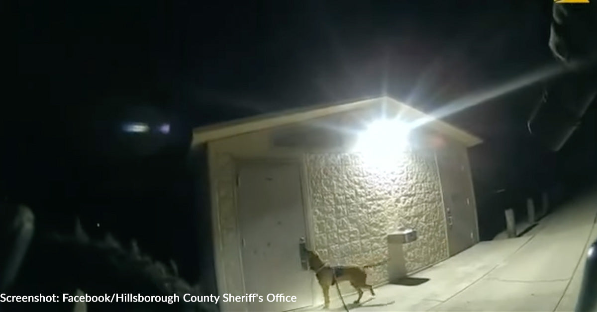 K9 Mary Lu Finds Missing Florida Girl In Park Bathroom | GreaterGood