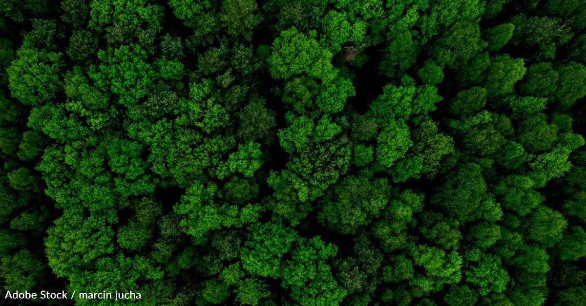 Biodiversity Intactness Declining More in Protected Areas Than in Non ...