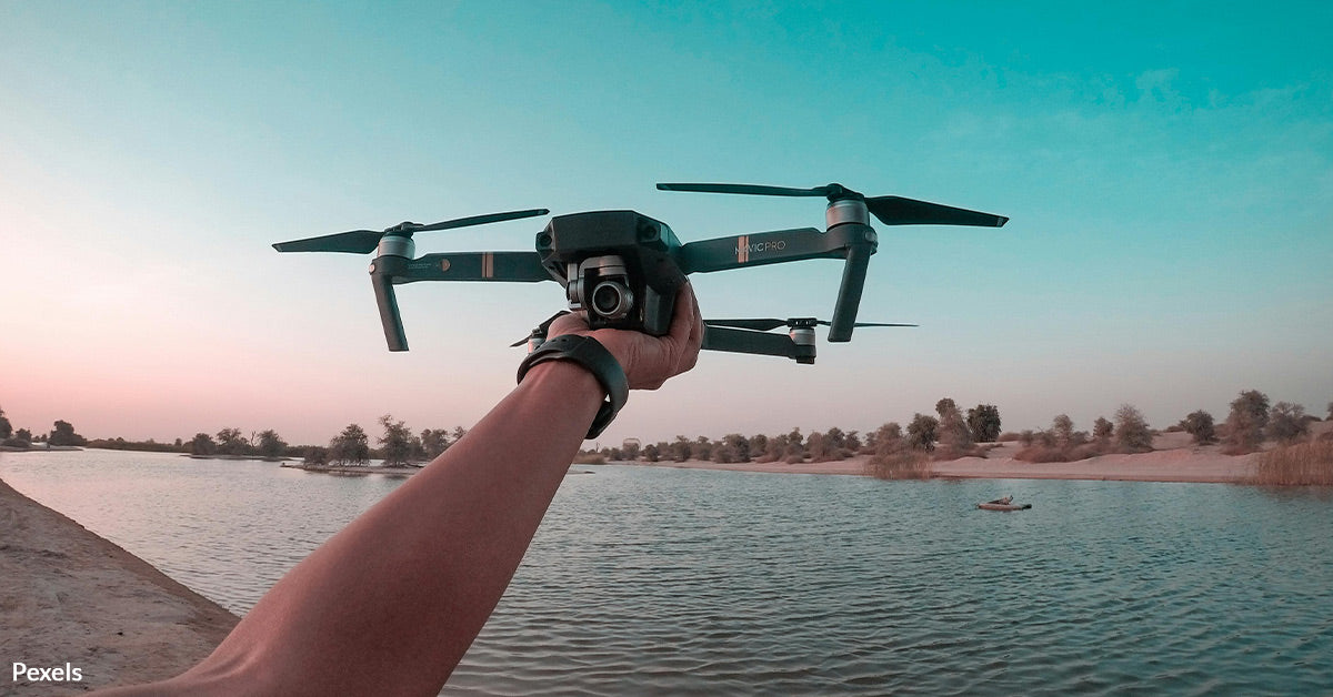 NYC's Beach Drones Under Attack as Birds Fight Back to Protect Nests ...