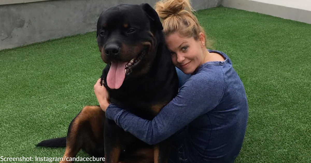 Candace Cameron Bure Heartbroken Over Death Of Beloved Rottweiler, Bor ...