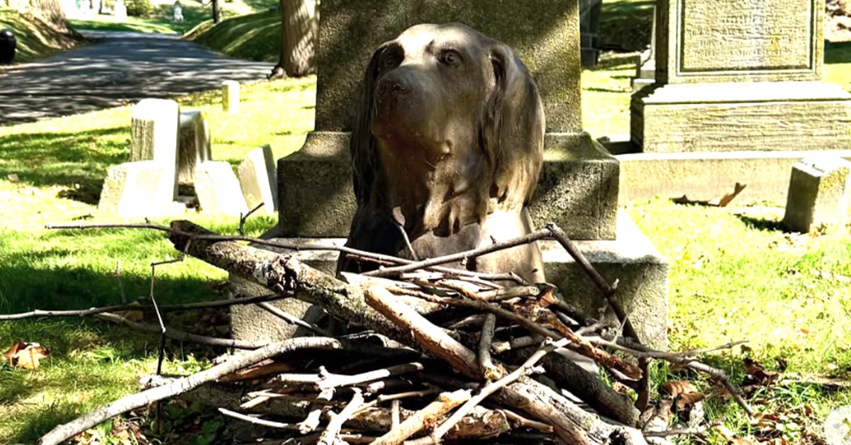 Brooklyn’s Green-Wood Cemetery Dog Grave Inspires Visitors to Leave ...