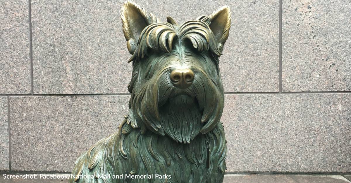 Dog Monuments Around The World Are Turning Gold From People Petting Th ...