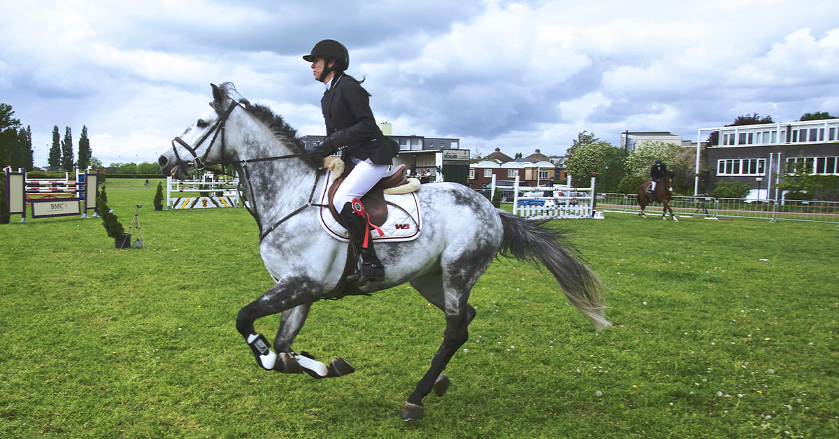 FEI’s Blood Rule Rollback Turns Show Jumping Into A Blood Sport ...