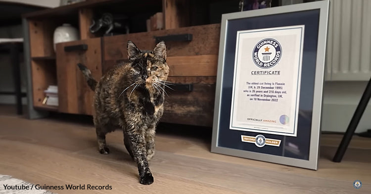 Guinness World Records Recognizes Flossie As The World’s Oldest Living ...