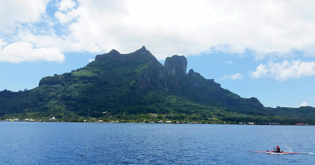 French Polynesia Blocks Industrial Fishing By Creating The World's ...