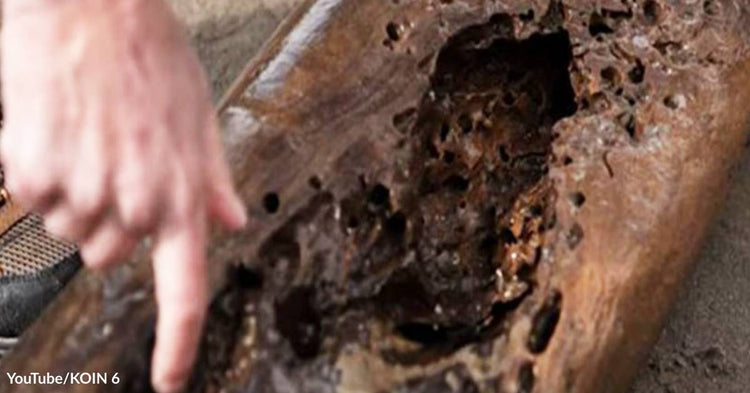 After 15 Years, Legendary Beeswax Wreck Finally Found in Oregon Coast ...
