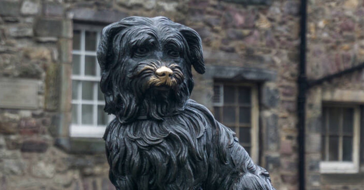 The Enduring Loyalty of Greyfriars Bobby | GreaterGood