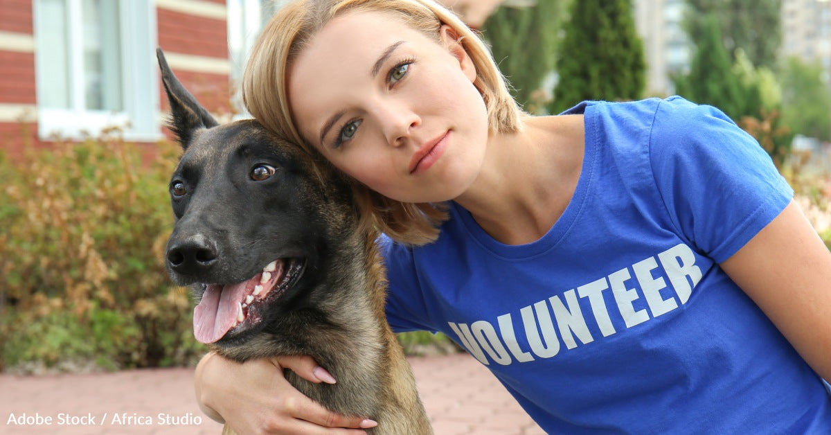 10 Ways You Can Help Your Local Animal Shelter And Make A Difference In ...
