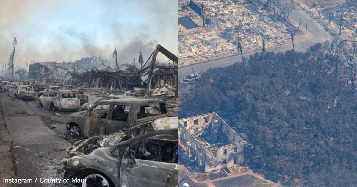 How Conditions Combined to Drive the Devastating Wildfires in Maui ...