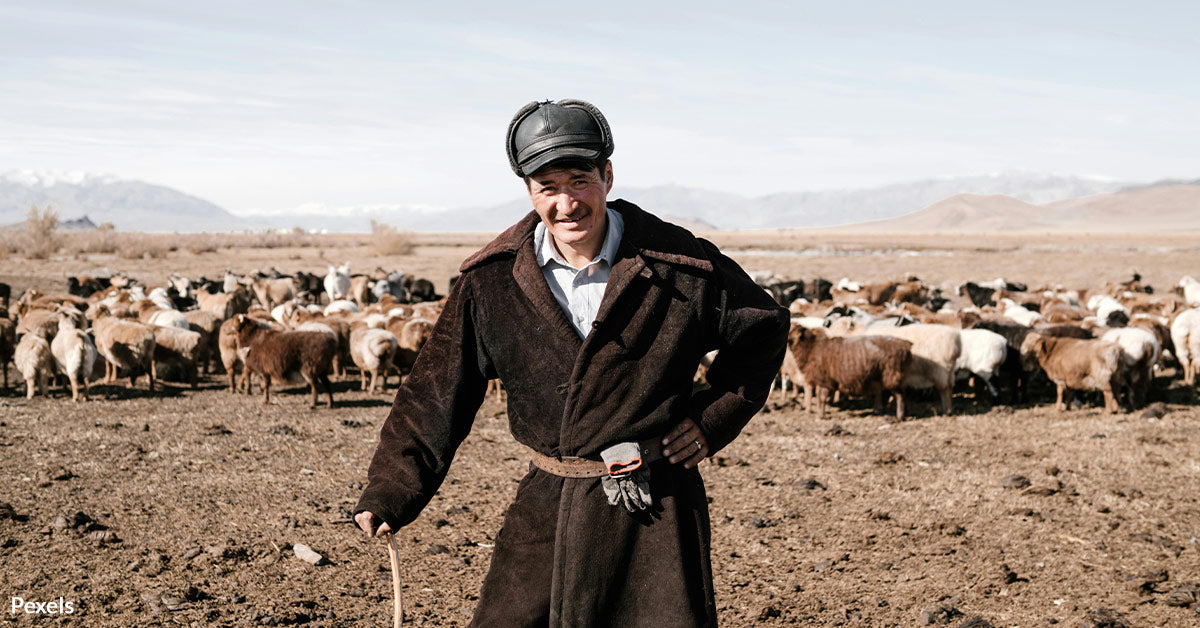 Mongolia's Winter of Despair — Nearly 5 Million Animals Lost to Brutal ...