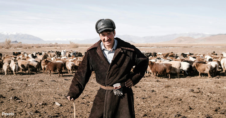 Mongolia's Winter of Despair — Nearly 5 Million Animals Lost to Brutal ...