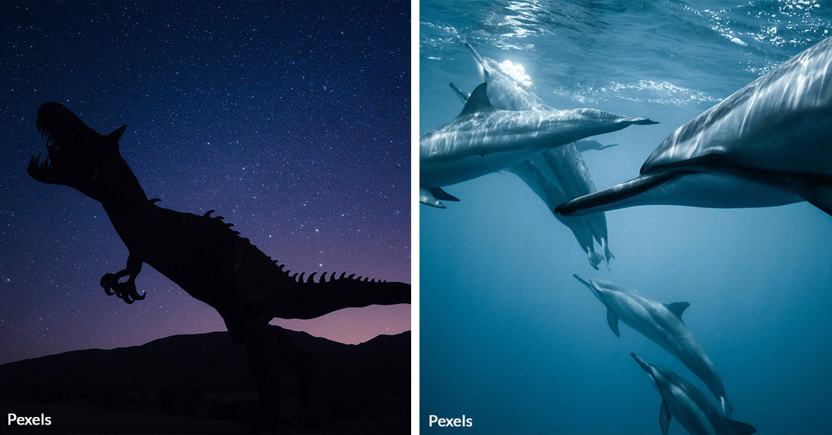 Lessons from Earth's History Shed Light On Imminent Oceanic Crisis ...