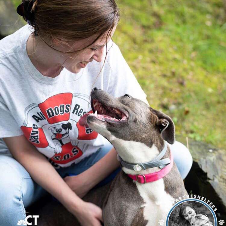 save-all-dogs-rescue-261 | GreaterGood