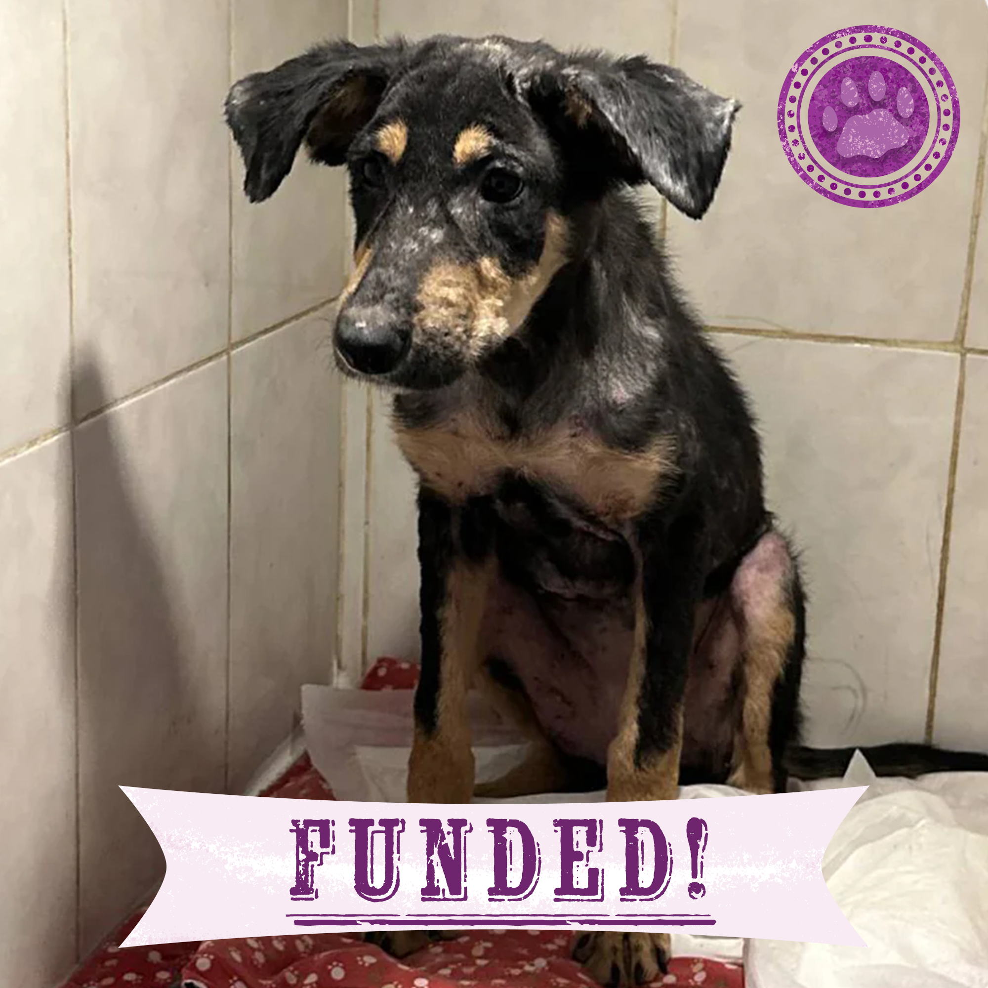 Funded: Save Judith's Skin From Infection | GreaterGood