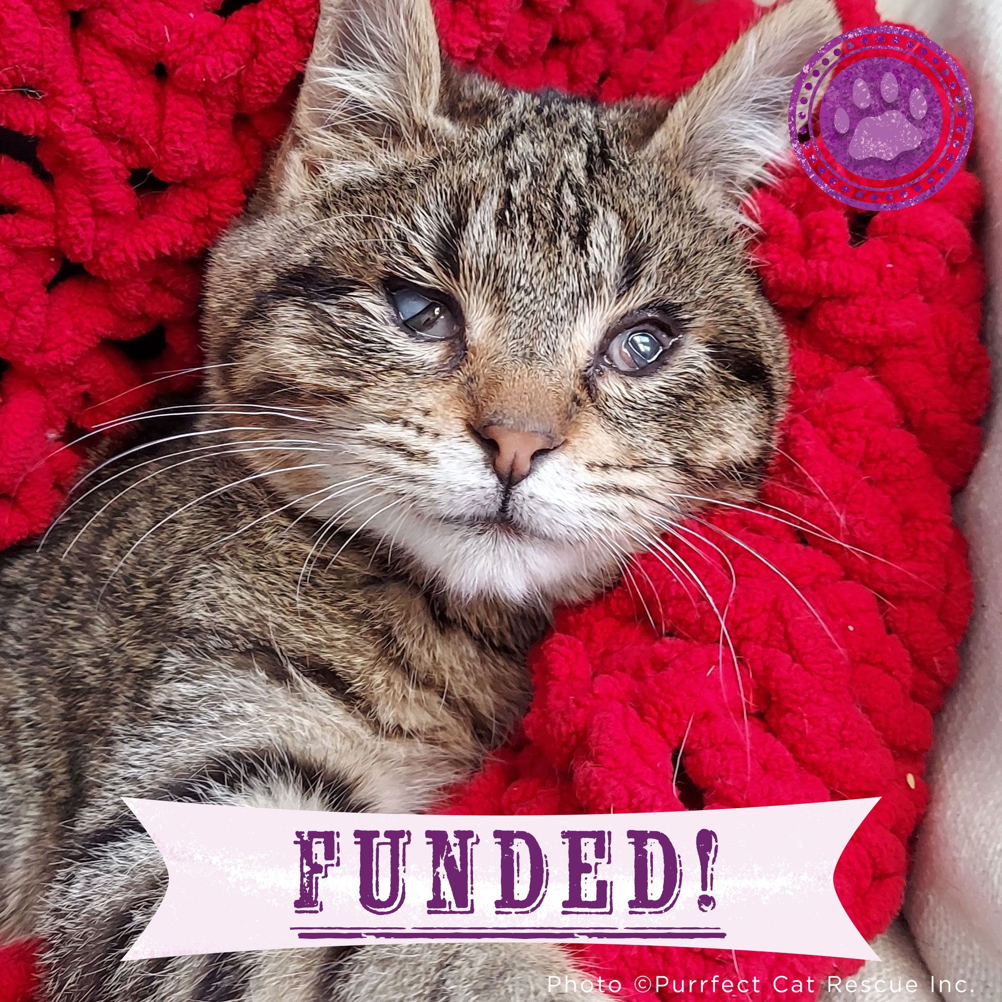 Funded - Help Doug Keep His Sight | GreaterGood