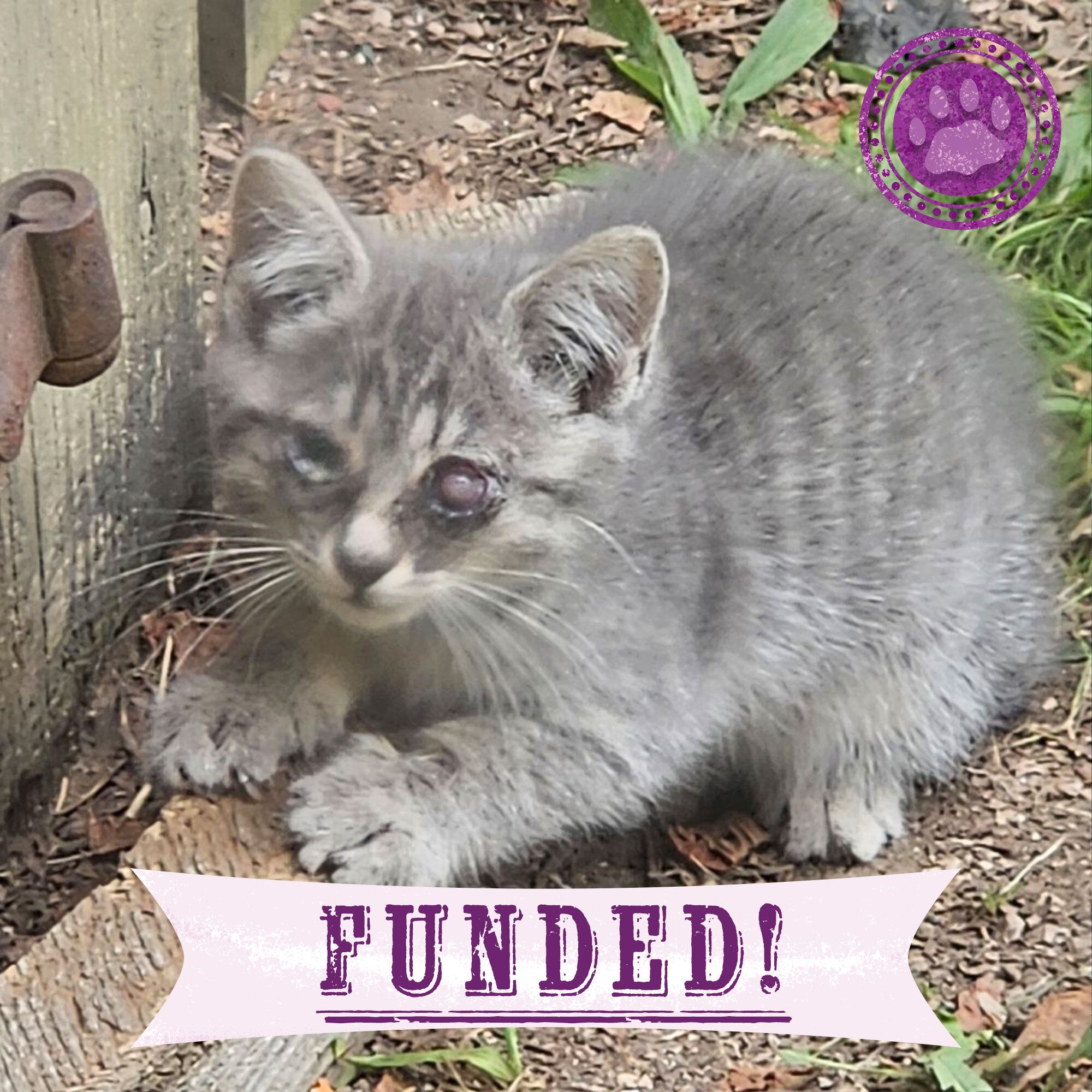 Funded - Help Winky See a Brighter Future | GreaterGood