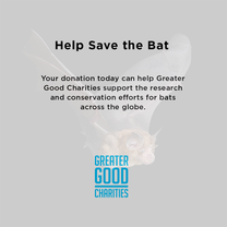 Help Save the Bat | GreaterGood