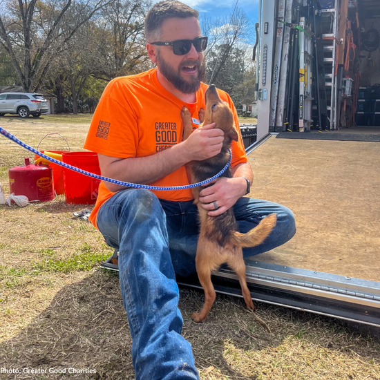 Help Rebuild an Animal Shelter to Enrich Their Residents' Lives ...