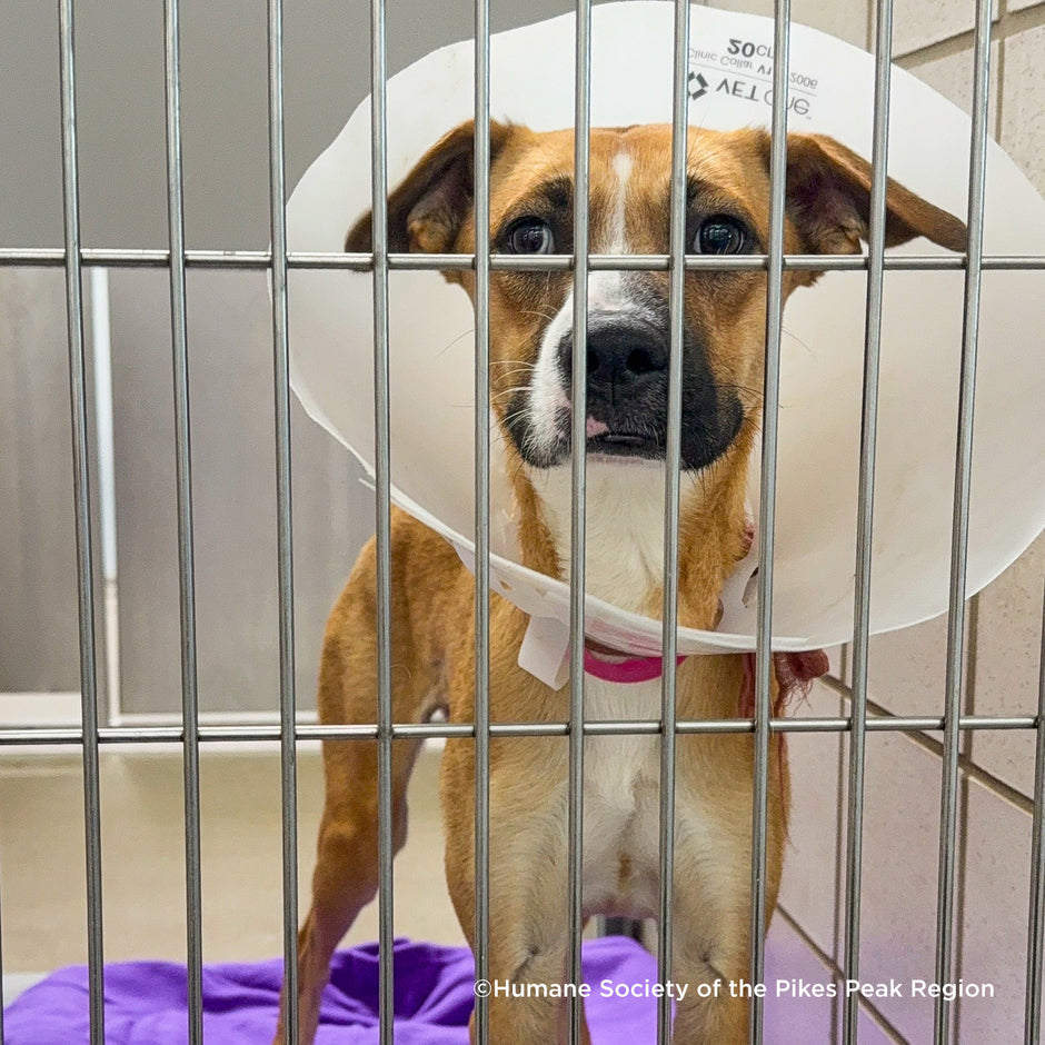 turtle-mountain-animal-rescue-358 | GreaterGood