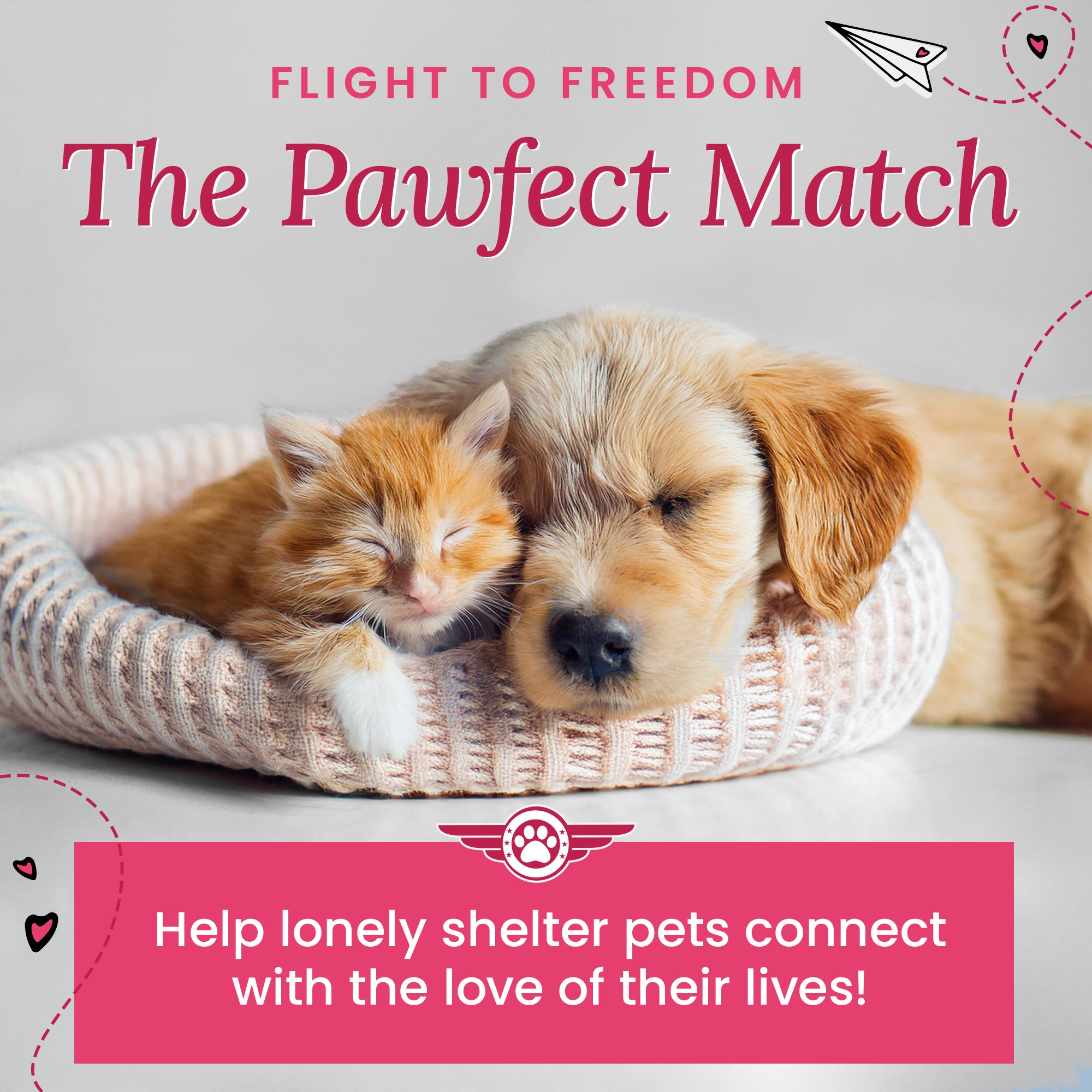 Help Fly Pets to Freedom | GreaterGood