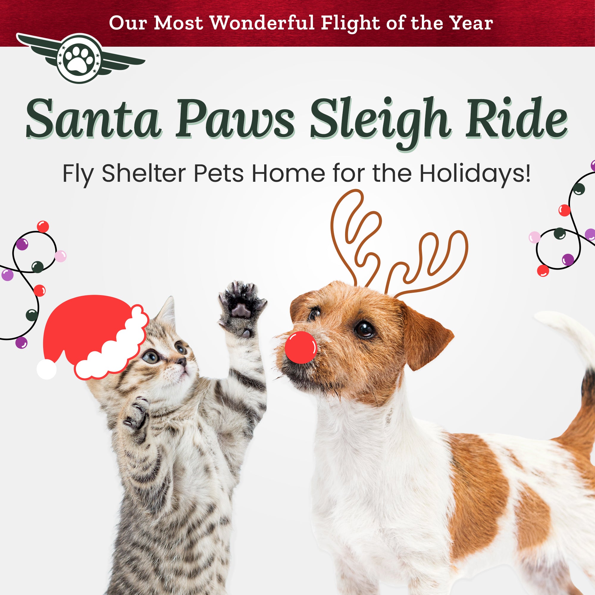 Help Fly Pets to Freedom | GreaterGood