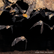 Help Save the Bat | GreaterGood