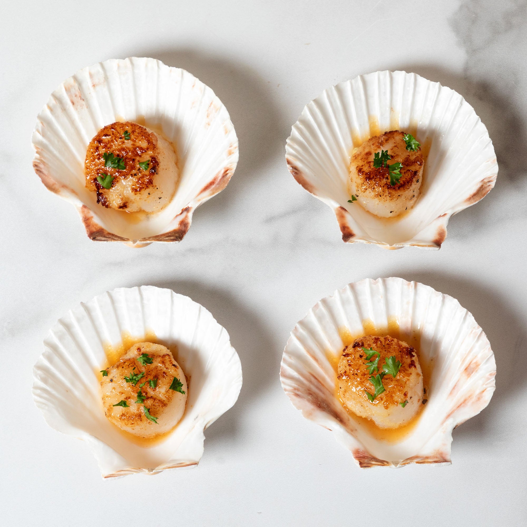 Nantucket Seafood Natural Canape Shells - Set of 4 | GreaterGood