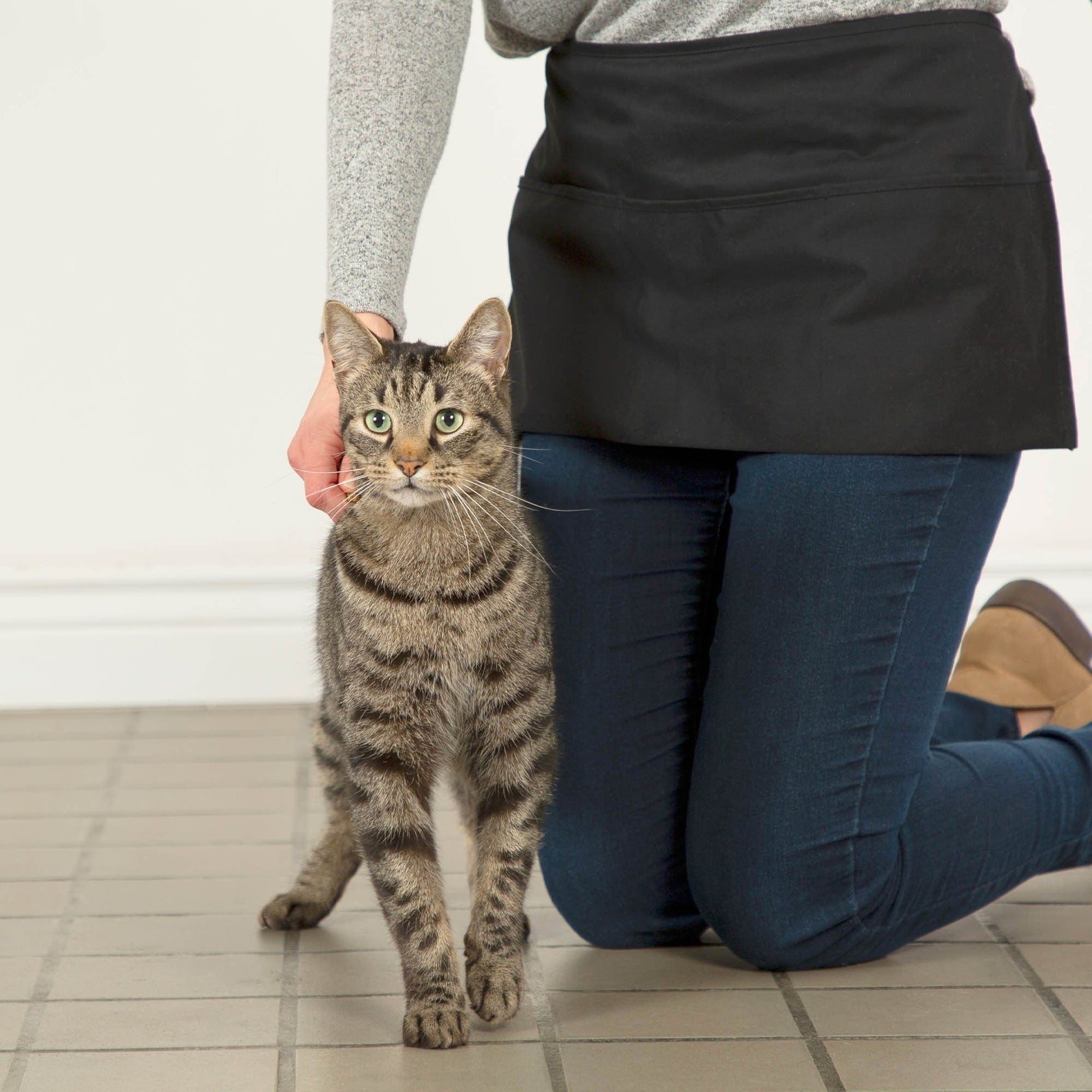 Training Packs To Help Cats & Kittens Get Adopted | GreaterGood