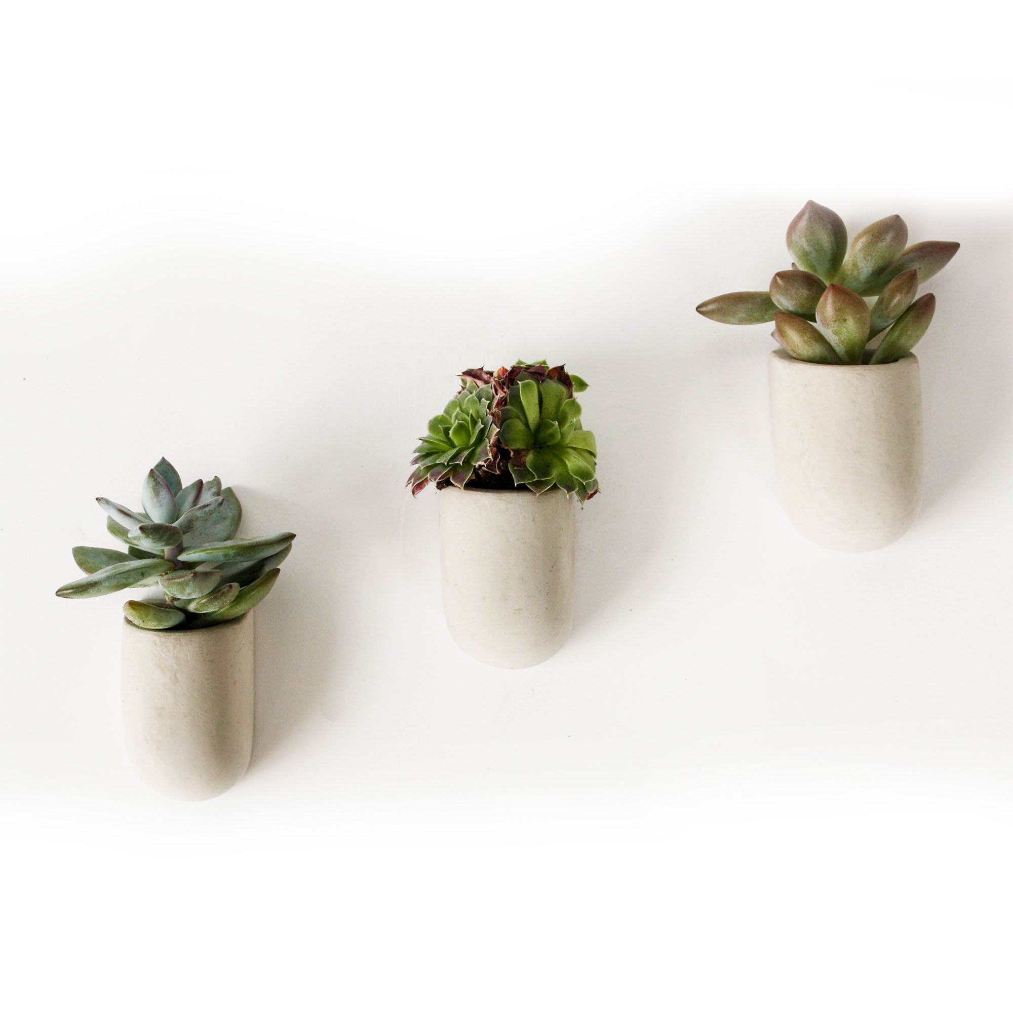 Magnet Plant Pots - Set of 3 | GreaterGood